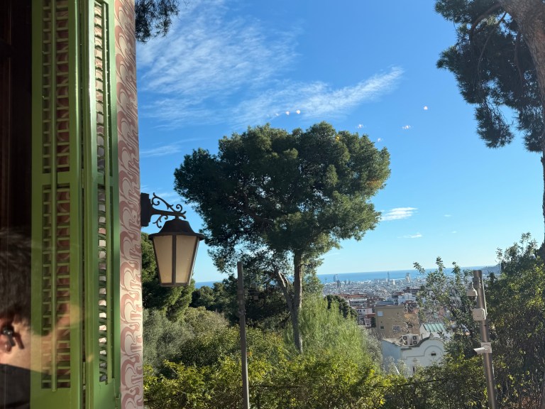 Thrill – Dr Amina Ravat